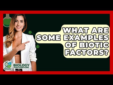 What Are Some Examples Of Biotic Factors? - Biology For Everyone