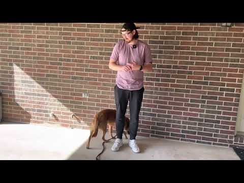 Customer review for Winston Branson