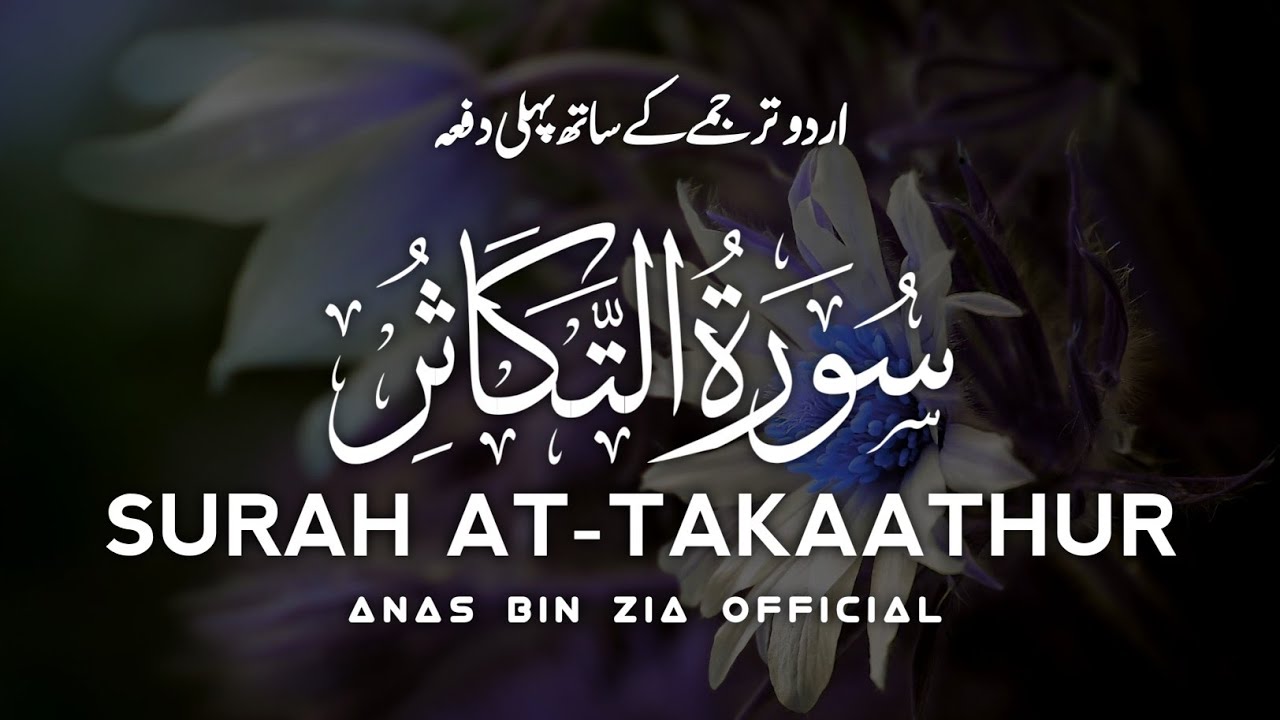 Surah At Tkaathur Anas Bin Zia سورۃ التکاثر انس بن ضیاء With