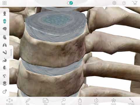 Neck Pain With Tightness