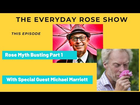 Rose Myth Busting With Special Guest Michael Marriott. Part 1 & 2 ...
