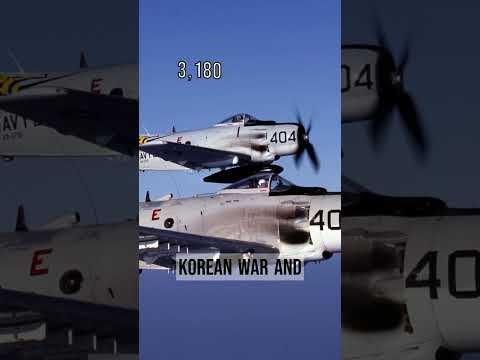 The WW2 Fighter That Fought Alongside the F-4 Phantom #airforce #ww2 #aviation