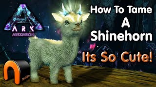 Steam Community :: nooblets :: Videos