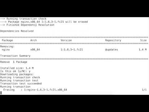 how to remove nginx linux