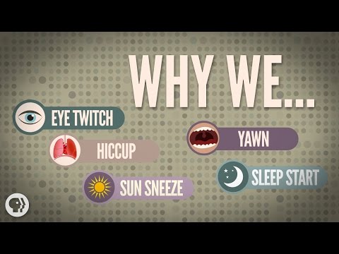 5 Weird Involuntary Behaviors Explained!