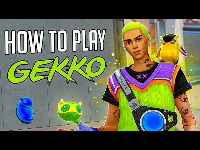 How has Valorant's meta shifted with Gekko's release?