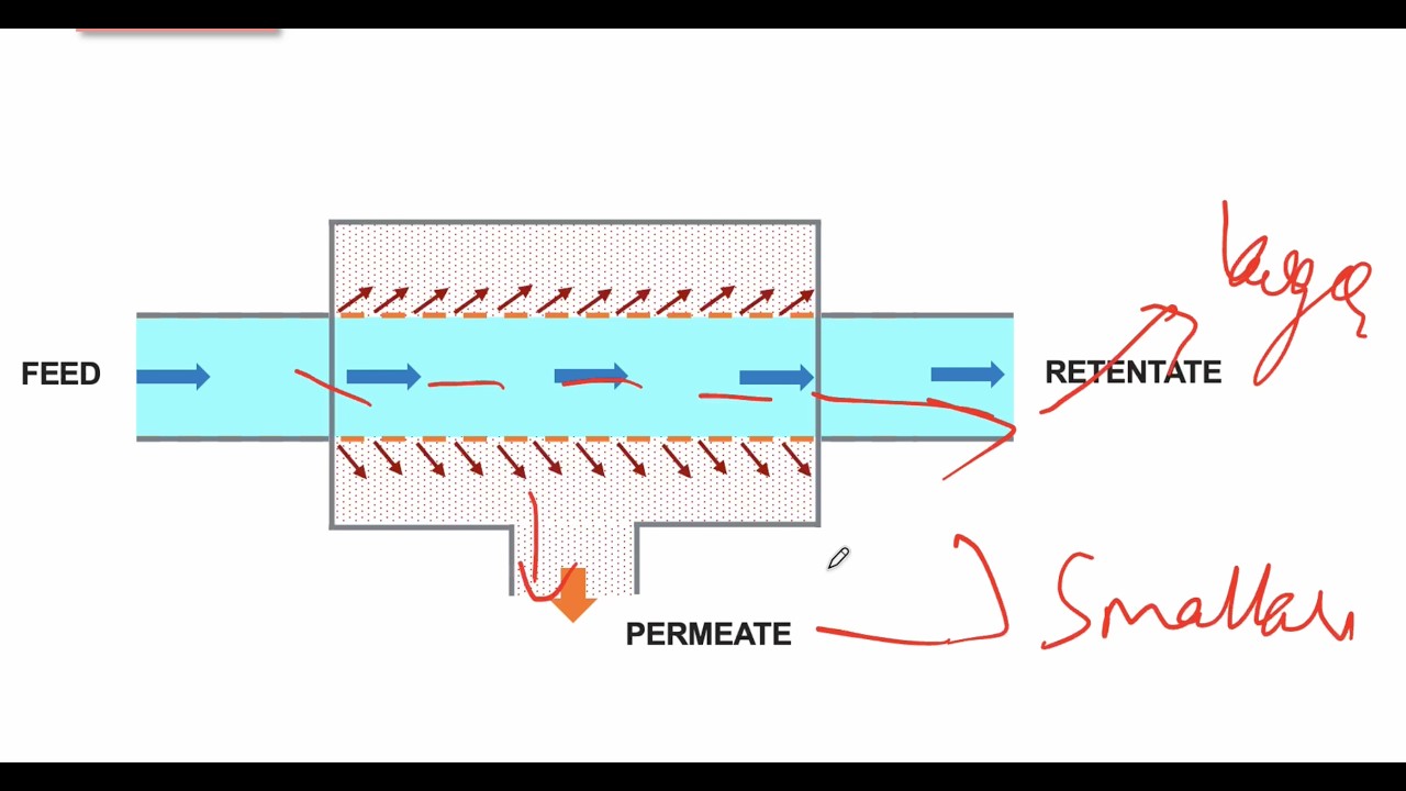 Membrane Processing - Lecture