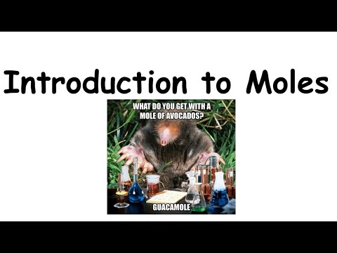 What Is A Mole? | The Mole Concept