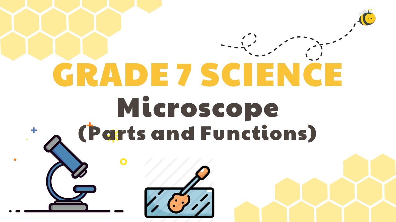 Microscope (Parts and Functions) | Grade 7 Science DepEd MELC Quarter 2 Module 1