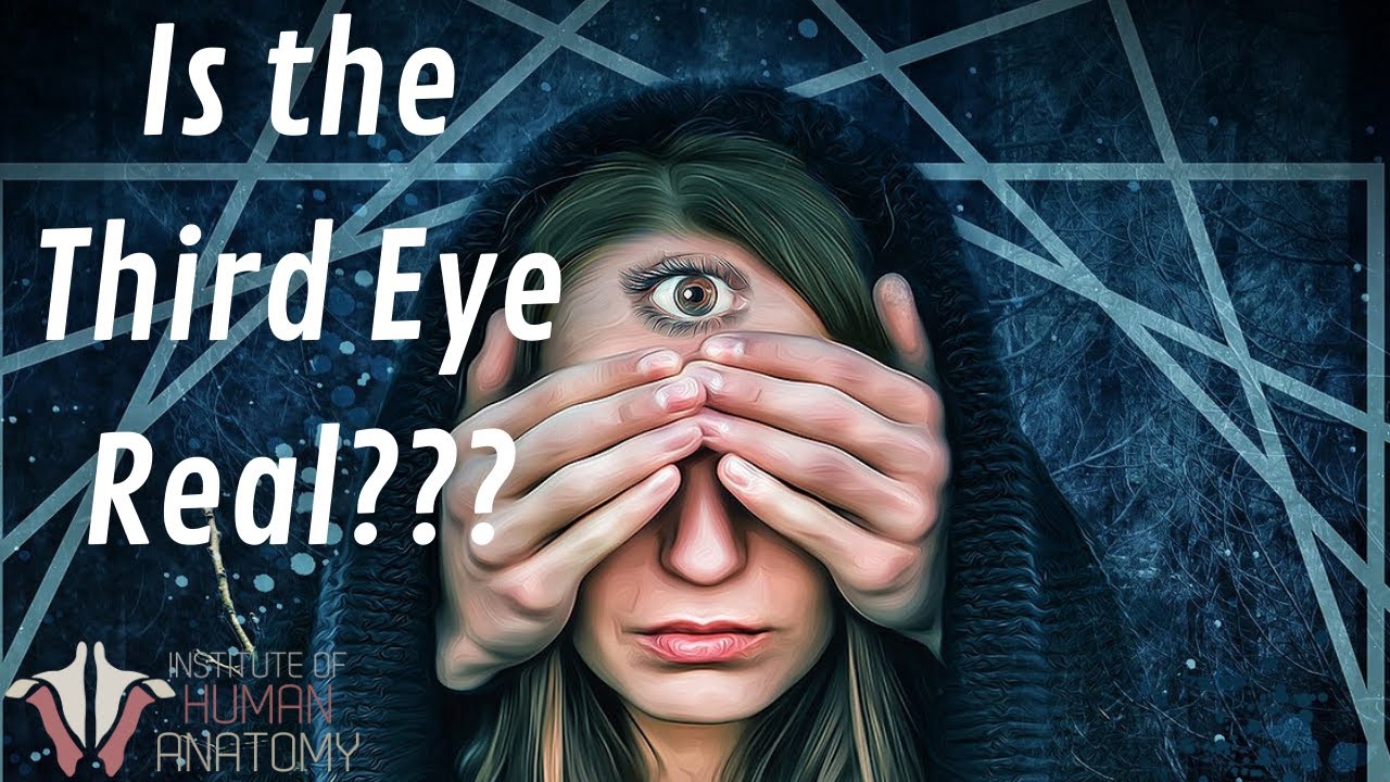 Is the Pineal Gland REALLY the Third Eye??? | Pineal Gland Anatomy