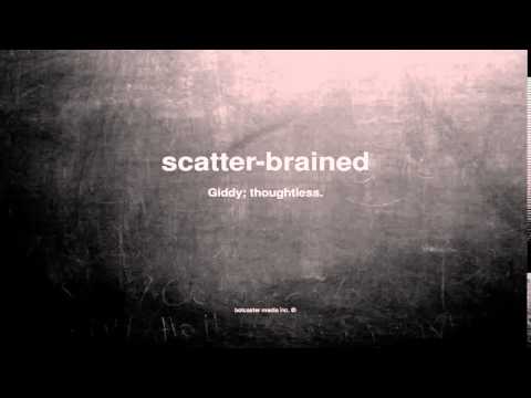 What does scatter-brained mean