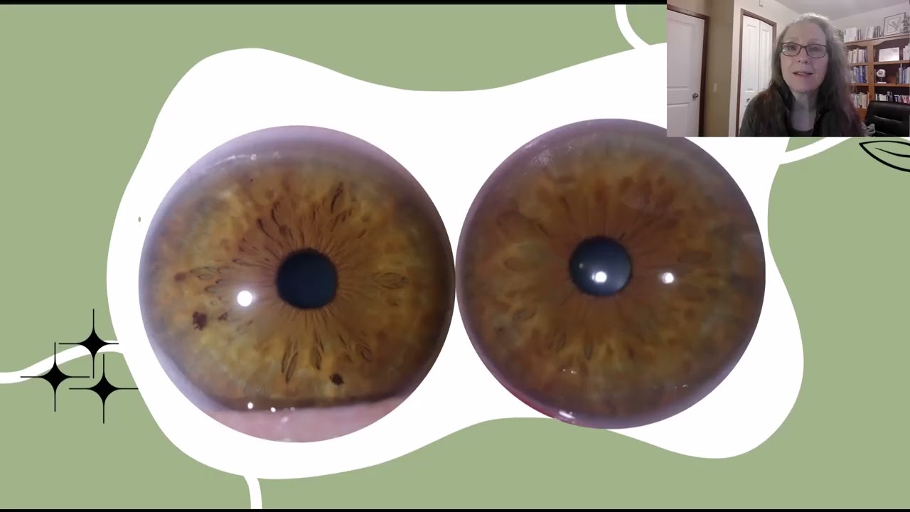 Intro to Constitutional Iris  Mapping