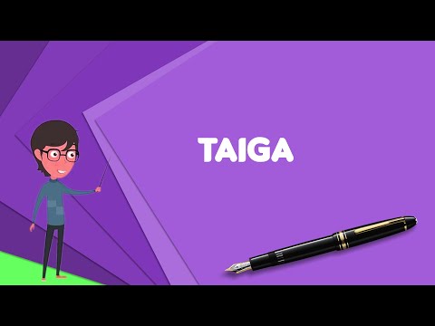 What is Taiga? Explain Taiga, Define Taiga, Meaning of Taiga