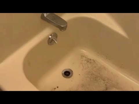 How To Clean Your Shower & Tub #shorts #cleaning