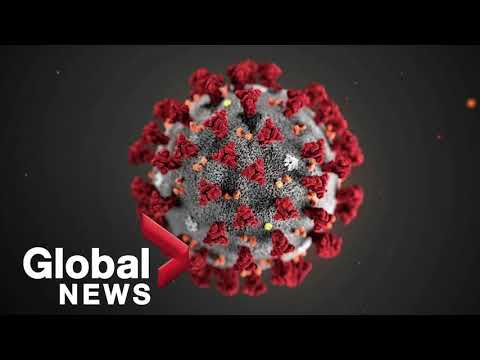 What a coronavirus looks like! COVID 19 ( Wuhan, China)