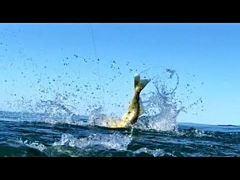 FISHING Lake Erie | 2020 | EPIC!