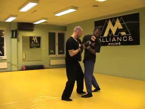 Practical Wing Chun.mpg