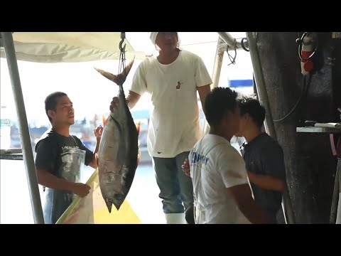 DA-BFAR: Frontline Services Part 1
