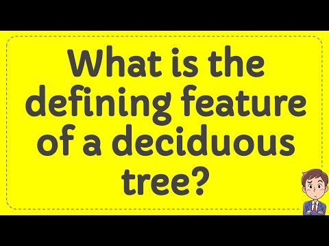What is the defining feature of a deciduous tree? | Answer