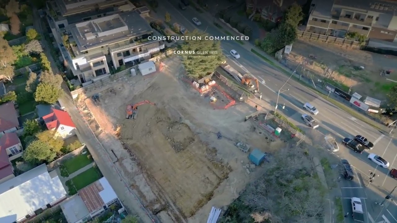 Cornus Glen Iris August Update