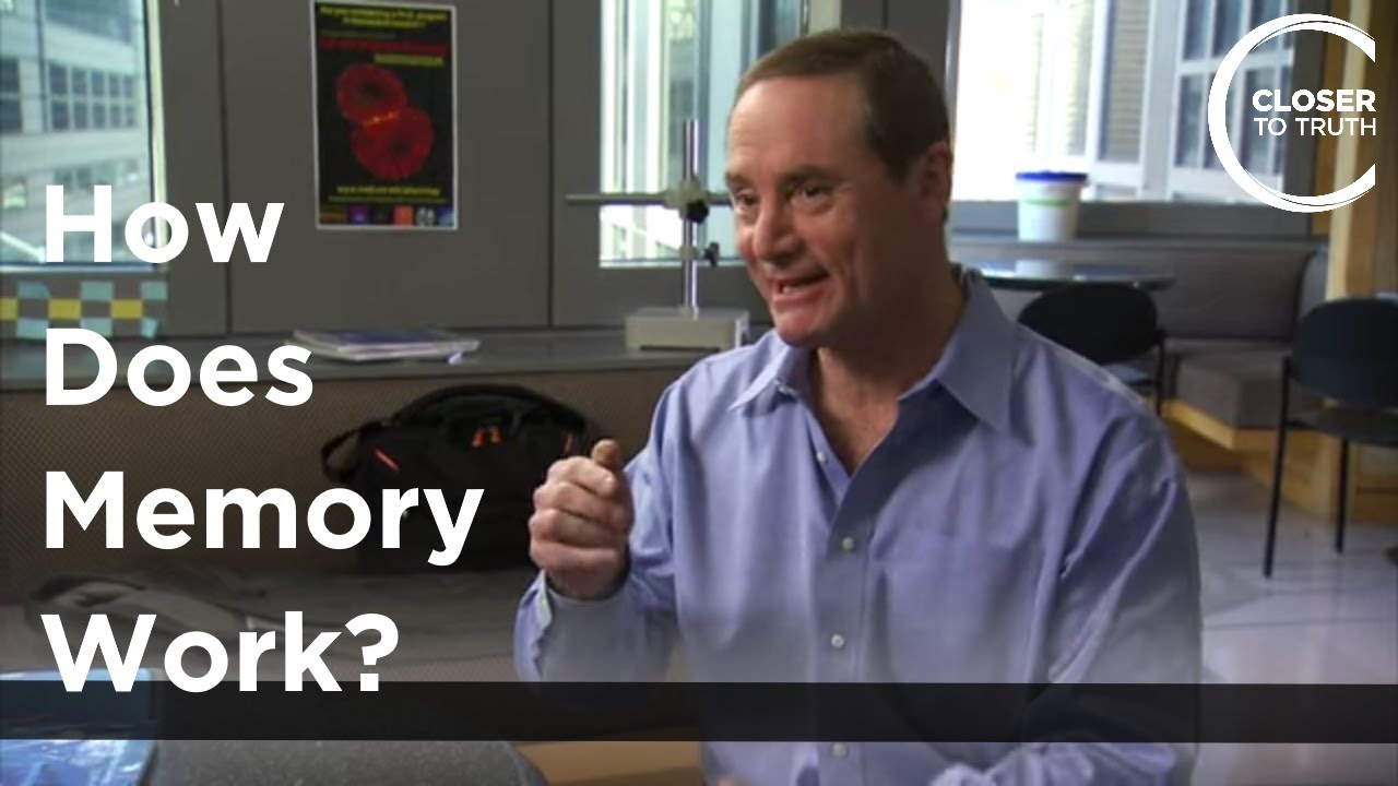 Robert Bilder - How Does Memory Work?