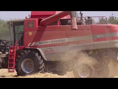 Cottingham, harvesting 19-7-22