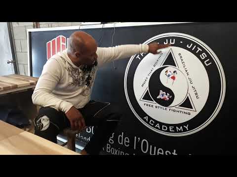 What is Thaijujitsu MMA - Logo Breakdown