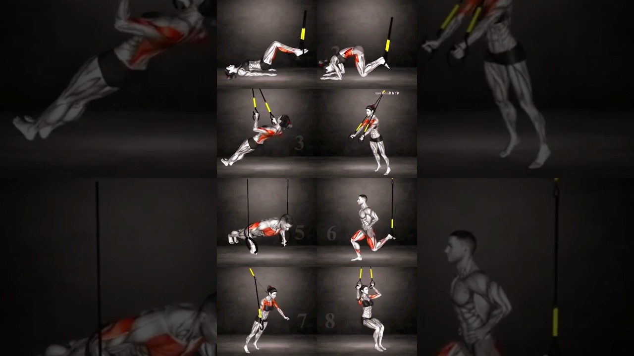 Full Body TRX Workout For Beginners