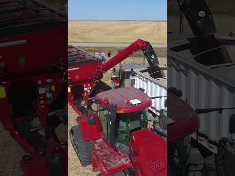 Blairswest Spotlight Harvest #agriculture #graincarts