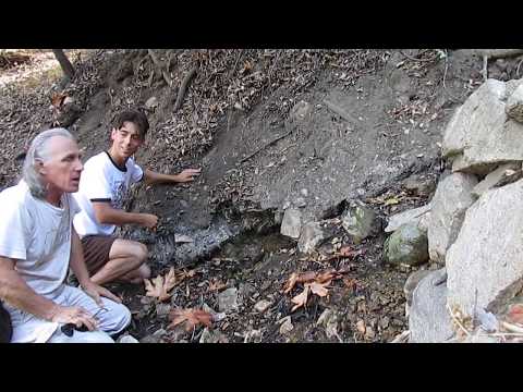 TIM MARTINEZ and COTTONWOOD CANYON