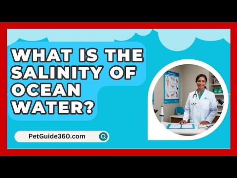 What Is The Salinity Of Ocean Water? - PetGuide360.com