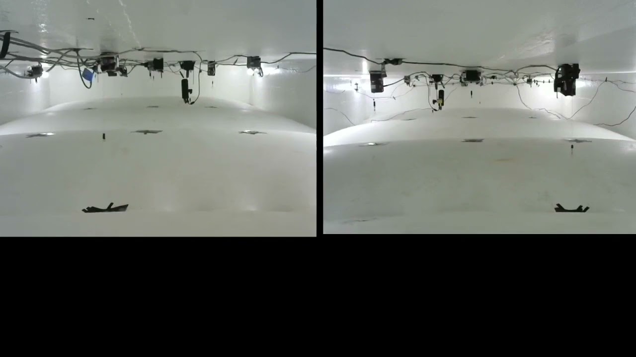 Roof membrane subjected to wind uplift