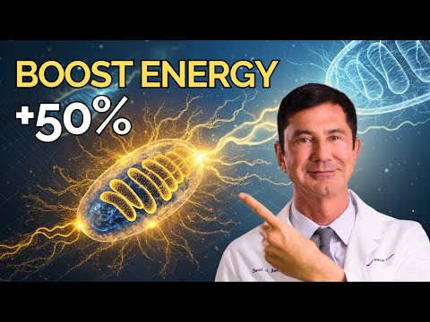 Mitochondria: The Key to More Energy and Longevity