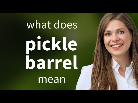 Pickle barrel | PICKLE BARREL definition