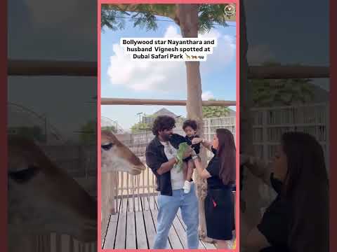 Actress #nayanthara husband #vigneshsivan spotted At #Dubai #safari park with their kids