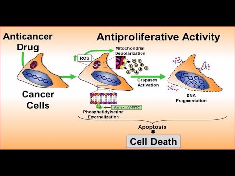 Classification of Anticancer Drugs (Drugs Used in Treating Cancer)
