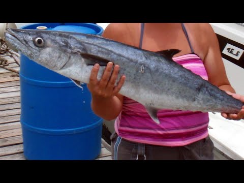 Facts: The King Mackerel
