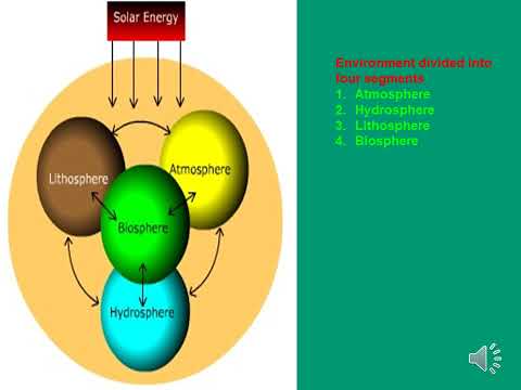 Environmental Science Definition