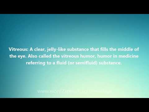 Vitreous - Medical Meaning and Pronunciation