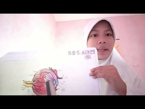 85. Bagian Mata Kel: Andi