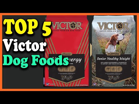 ✅Top 5 Best Victor Dog Foods Reviews 2023