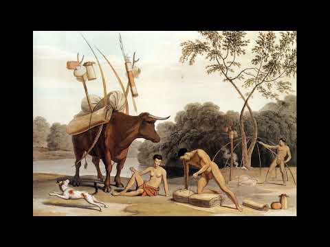 Origin Of The Difference In Modes Of Life Between Hottentots And Bushmen - Children's Bedtime Story