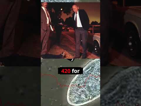 "420" isn't a police code for cannabis crimes!