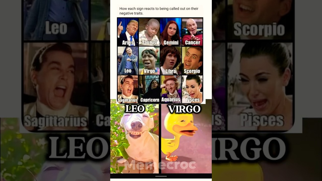 This Is TOO Accurate… Zodiac Reactions 😂♈♉♊♋