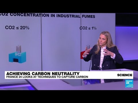 Carbon capture techniques: What are they and how do they work? • FRANCE 24 English