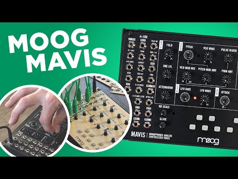 Moog Mavis Semi-Modular Analog Synthesizer [DEMO] | Reverb