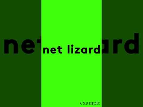 SLANG DEFINITIONS. Today, The Word Is... NET LIZARD #shorts