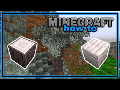 How to Find, Grow, and Use the Pale Oak Tree! (1.21.4+) | Easy Minecraft Tutorial