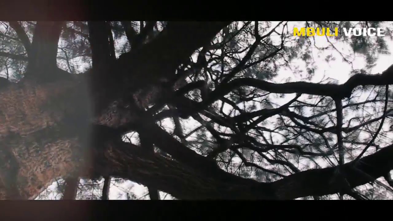 KELIMUTU || TRIWARNA || MBULI VOICE