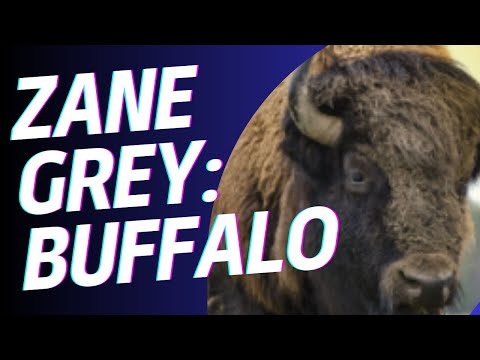 Fifty Zanes of Grey: The Last of The Plainsmen (1908)